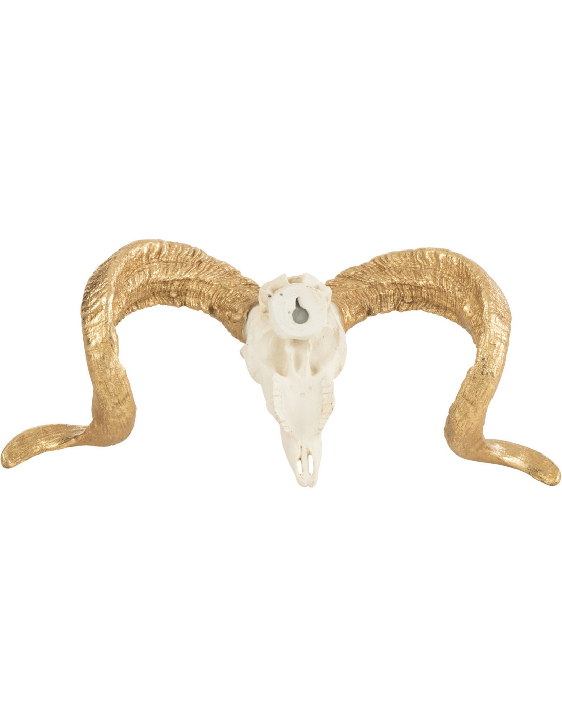 Déco Murale Crâne de mouton Moutéa en Résine Blanc Doré 30x15